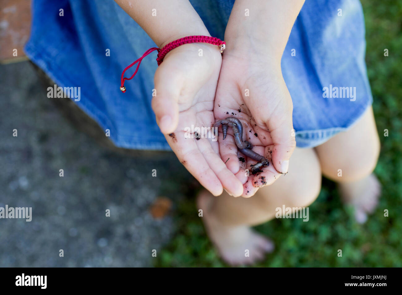 Earthworm in palms of cupped hands Stock Photo - Alamy