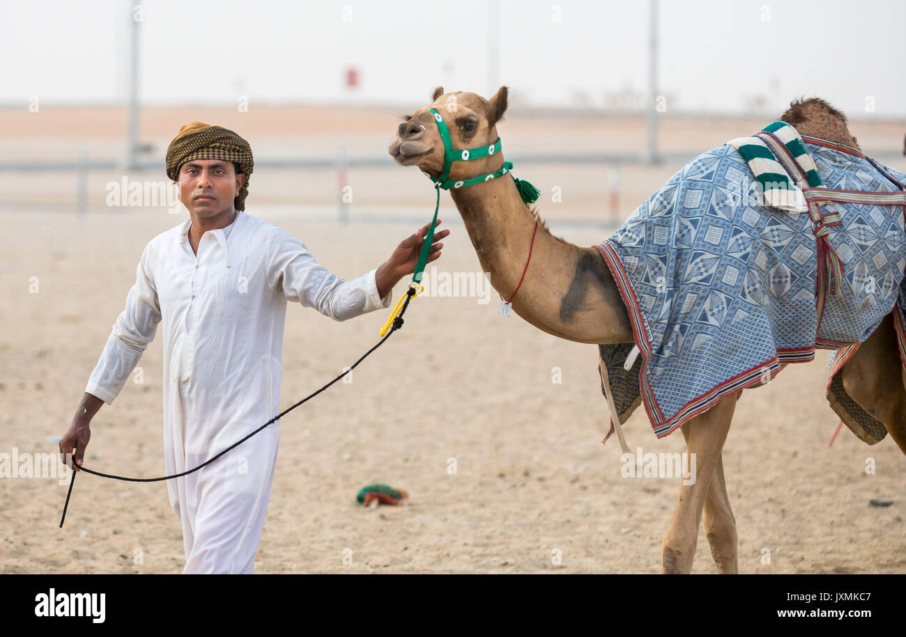 Uae desert camel hi-res stock photography and images - Alamy