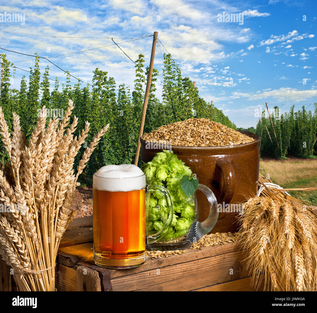 Glass of Beer and Raw Material for Beer Production Stock Photo - Alamy