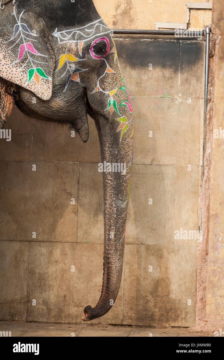 Decorated elephants in Jaleb Chowk in Amber Fort in Jaipur, India ...