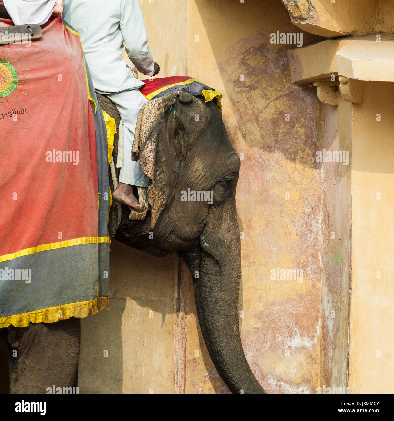 Decorated elephants in Jaleb Chowk in Amber Fort in Jaipur, India ...