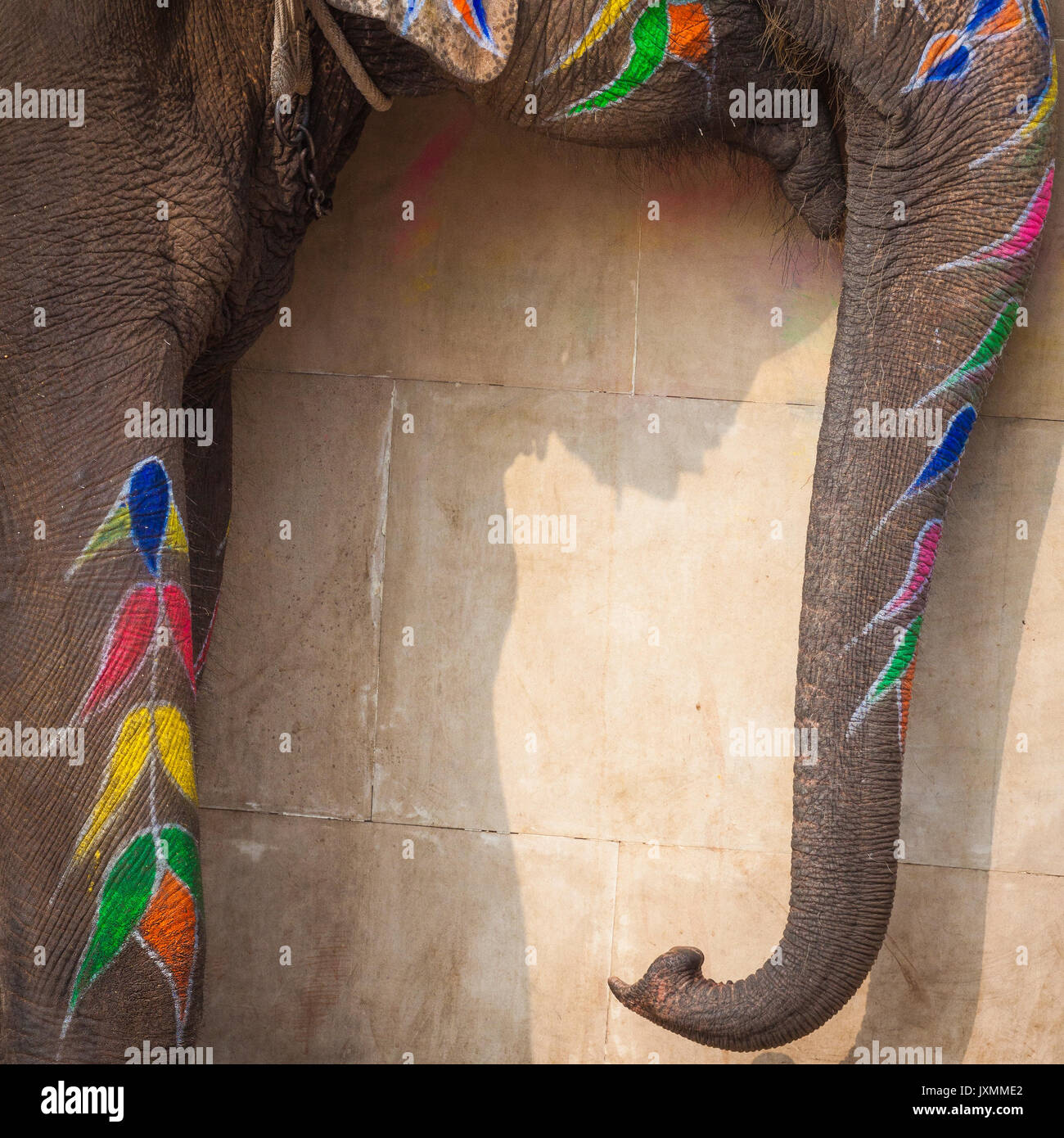 Decorated elephants in Jaleb Chowk in Amber Fort in Jaipur, India ...