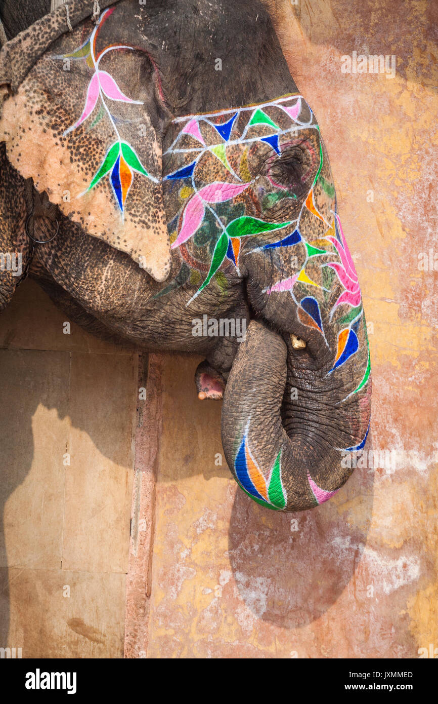 Decorated elephants in Jaleb Chowk in Amber Fort in Jaipur, India ...