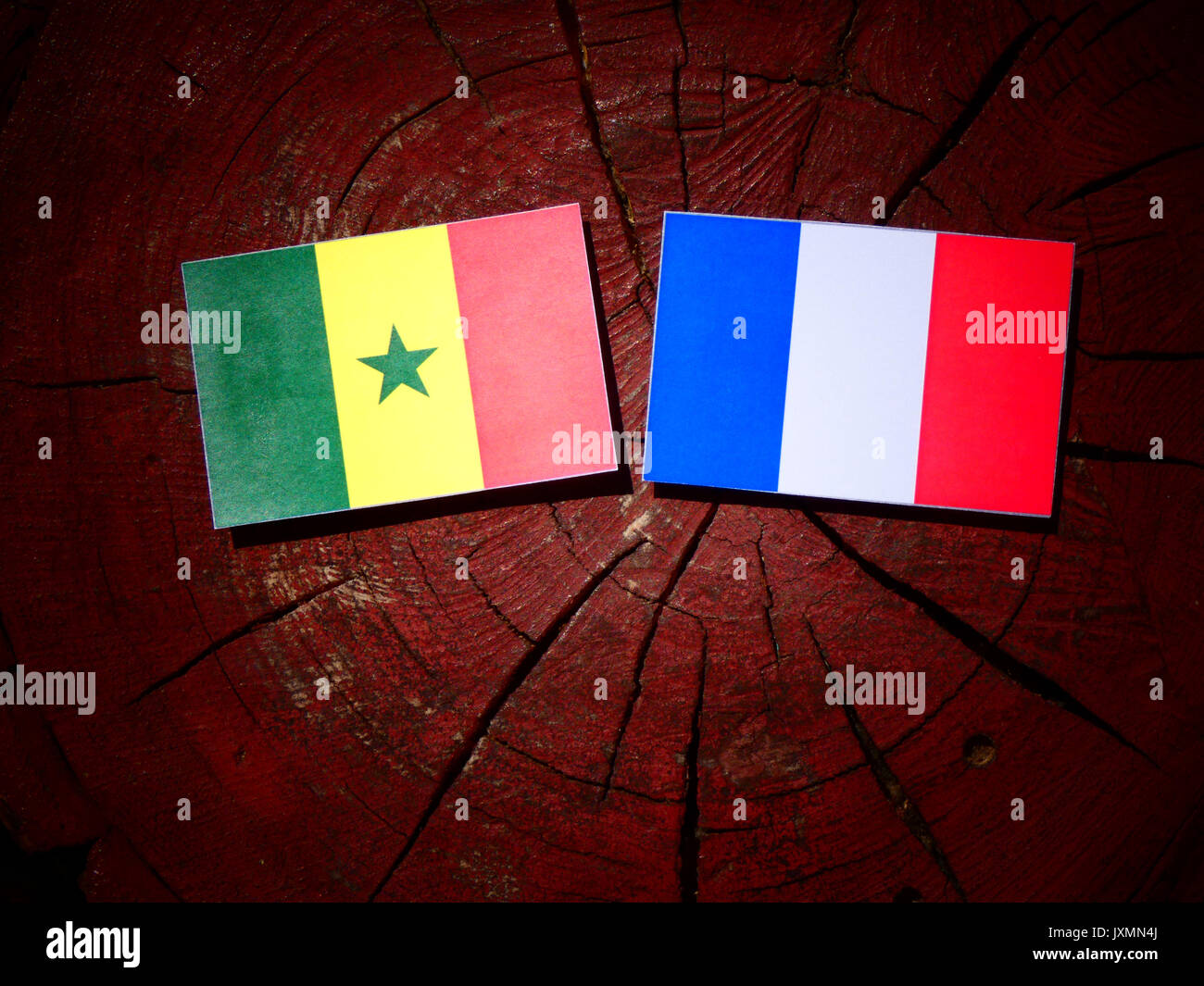 Senegal flag with French flag on a tree stump isolated Stock Photo - Alamy