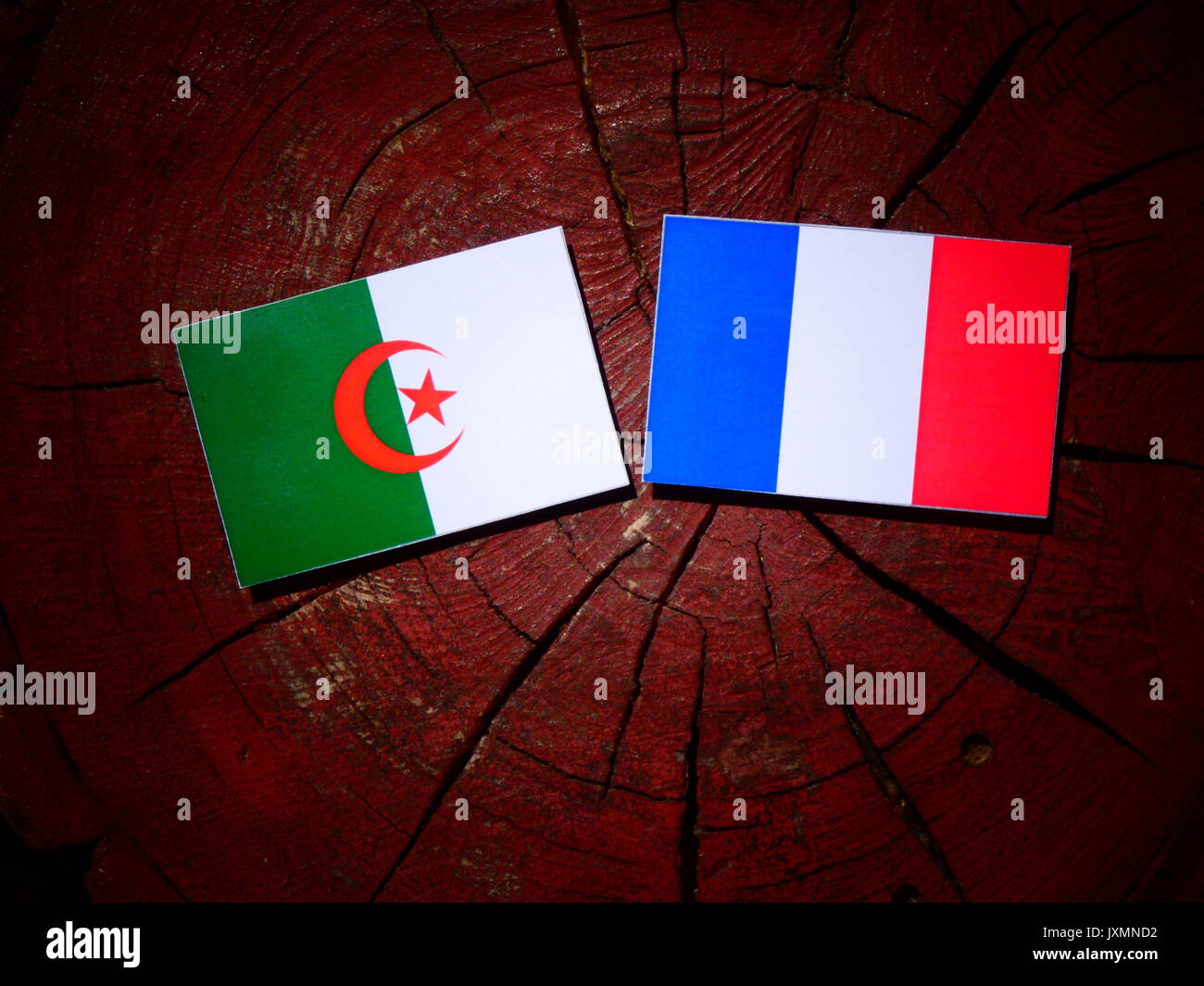 Algerian War French Stock Photos & Algerian War French Stock Images - Alamy