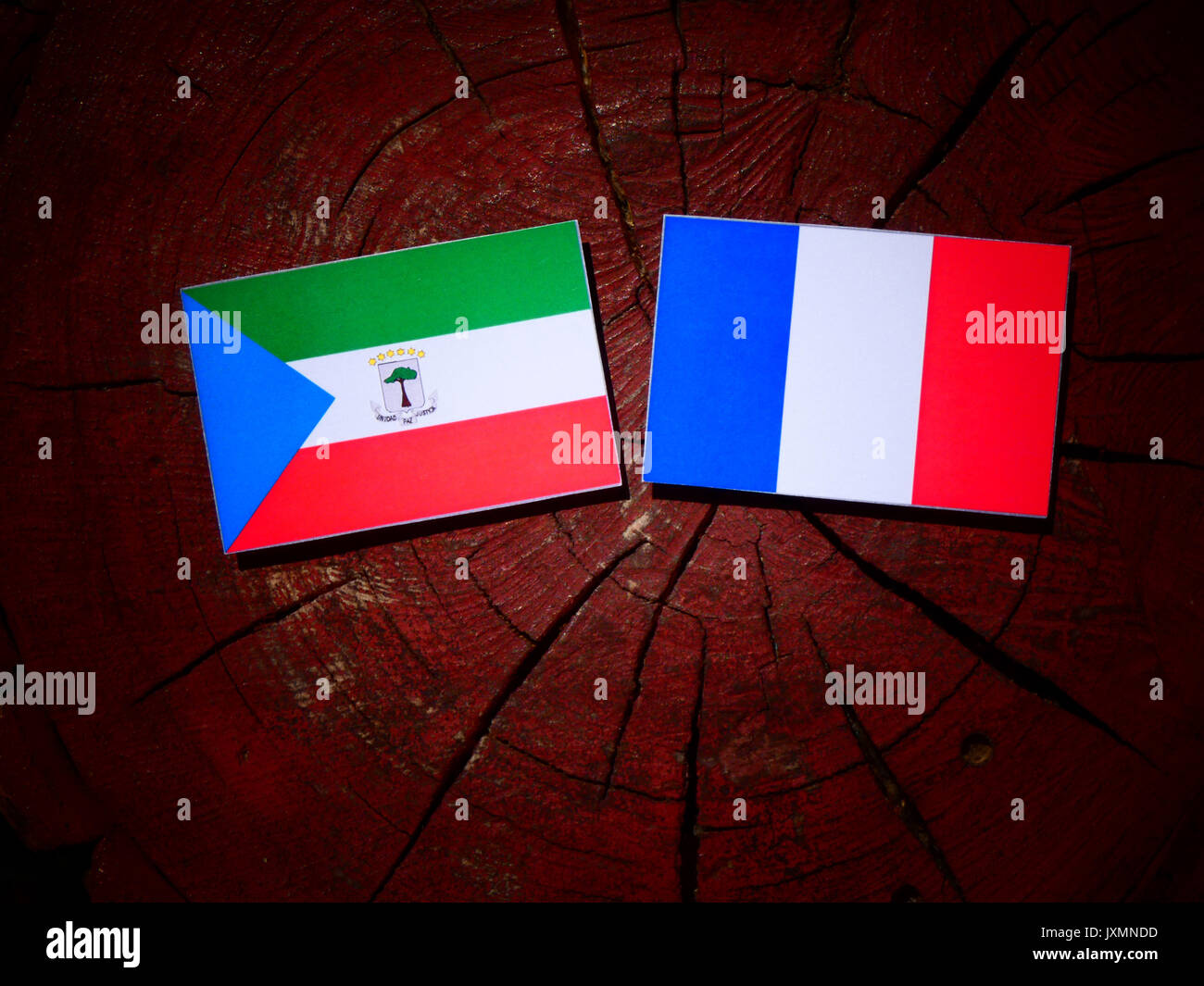 Equatorial Guinea flag with French flag on a tree stump isolated Stock ...