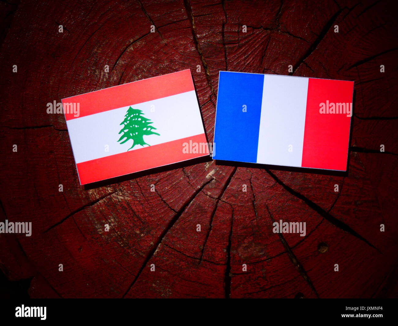 Lebanese flag with French flag on a tree stump isolated Stock Photo - Alamy