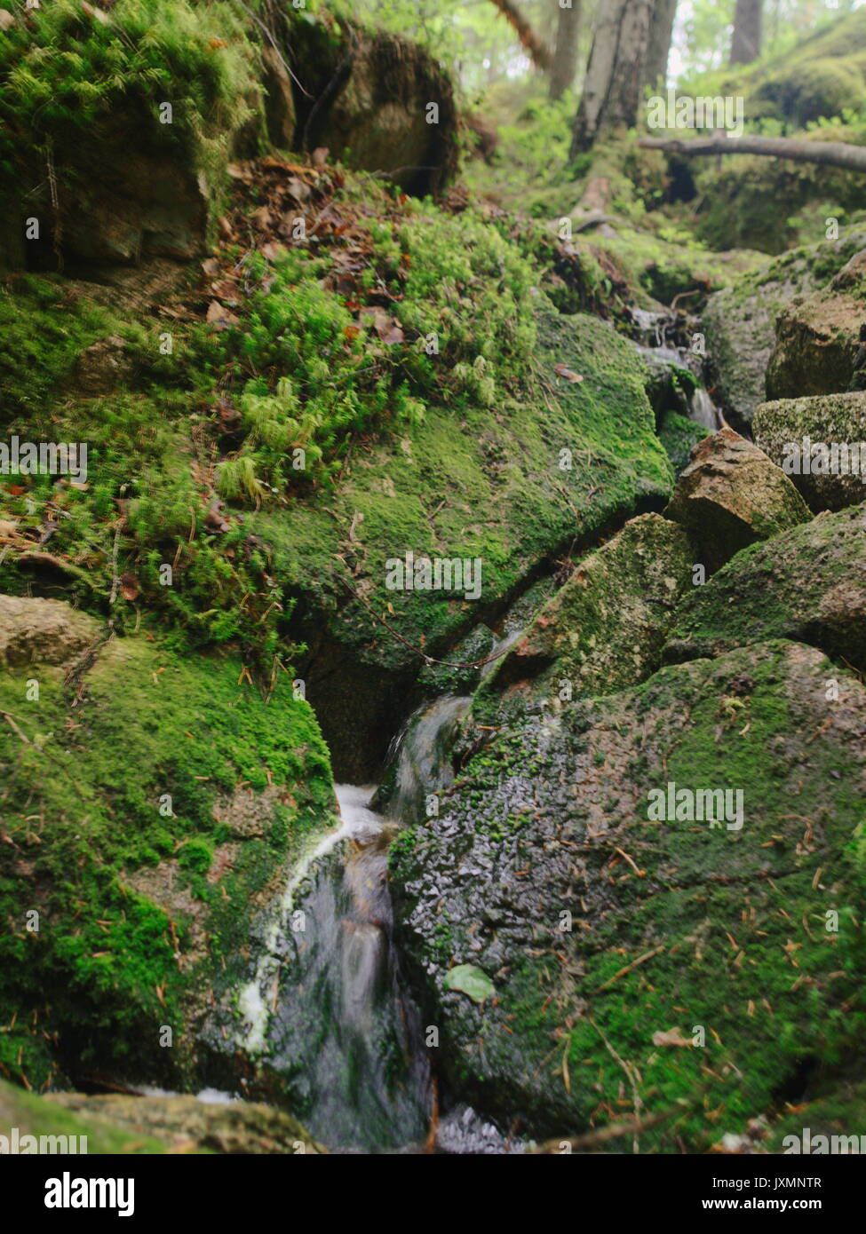 Waterstreaminajantaclaves hi-res stock photography and images - Alamy