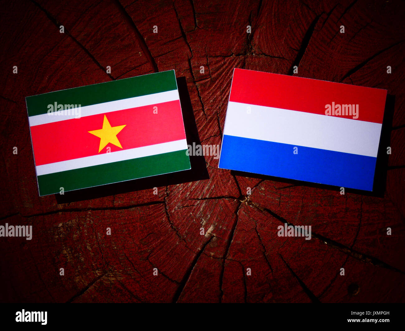 Suriname flag with Dutch flag on a tree stump isolated Stock Photo - Alamy
