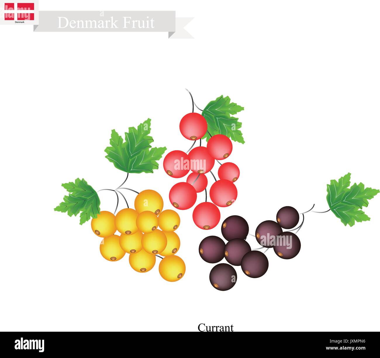 Danish Fruit, Illustration of White, Black and Red Currants. The Famous ...