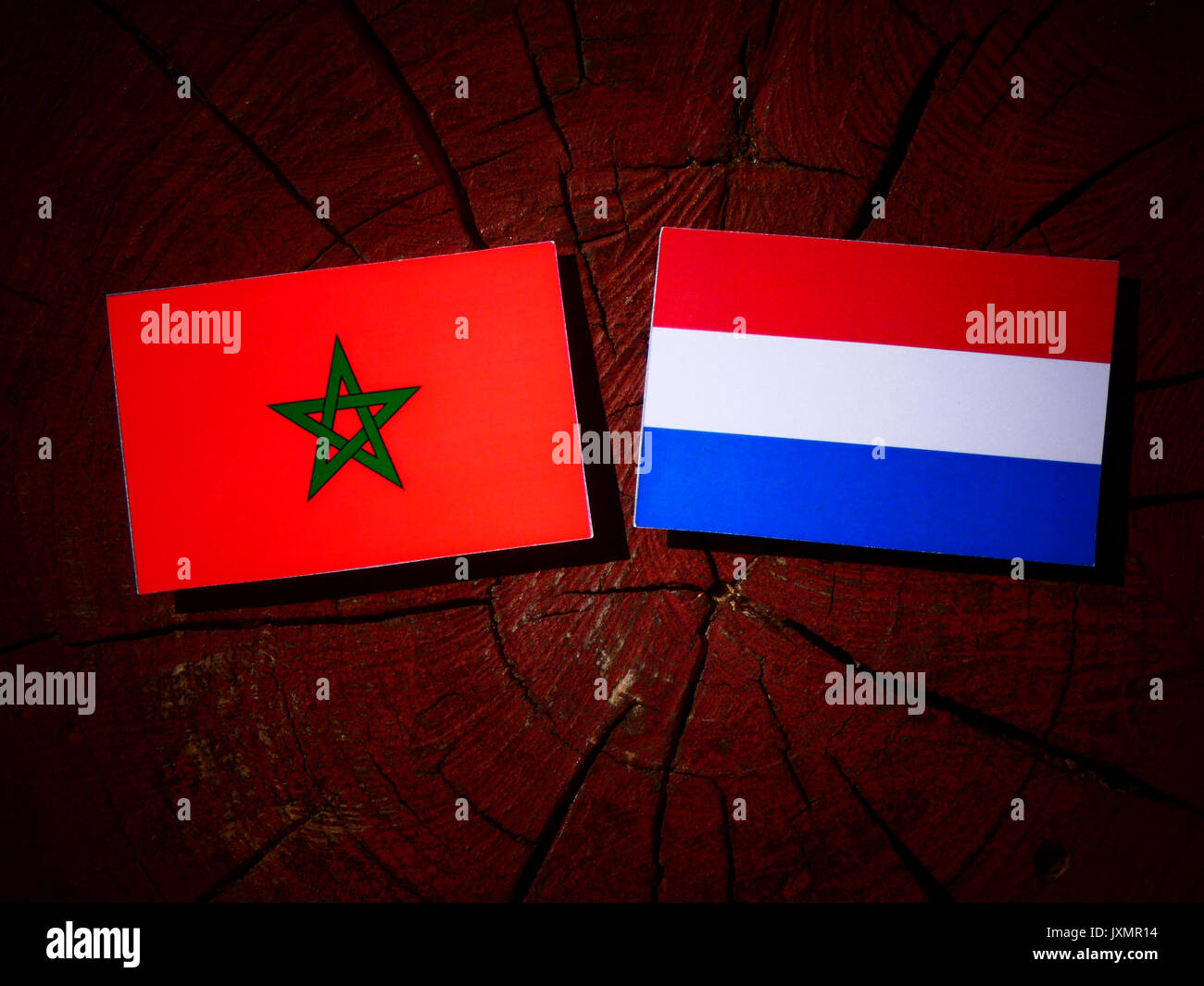 Moroccan flag with Dutch flag on a tree stump isolated Stock Photo - Alamy