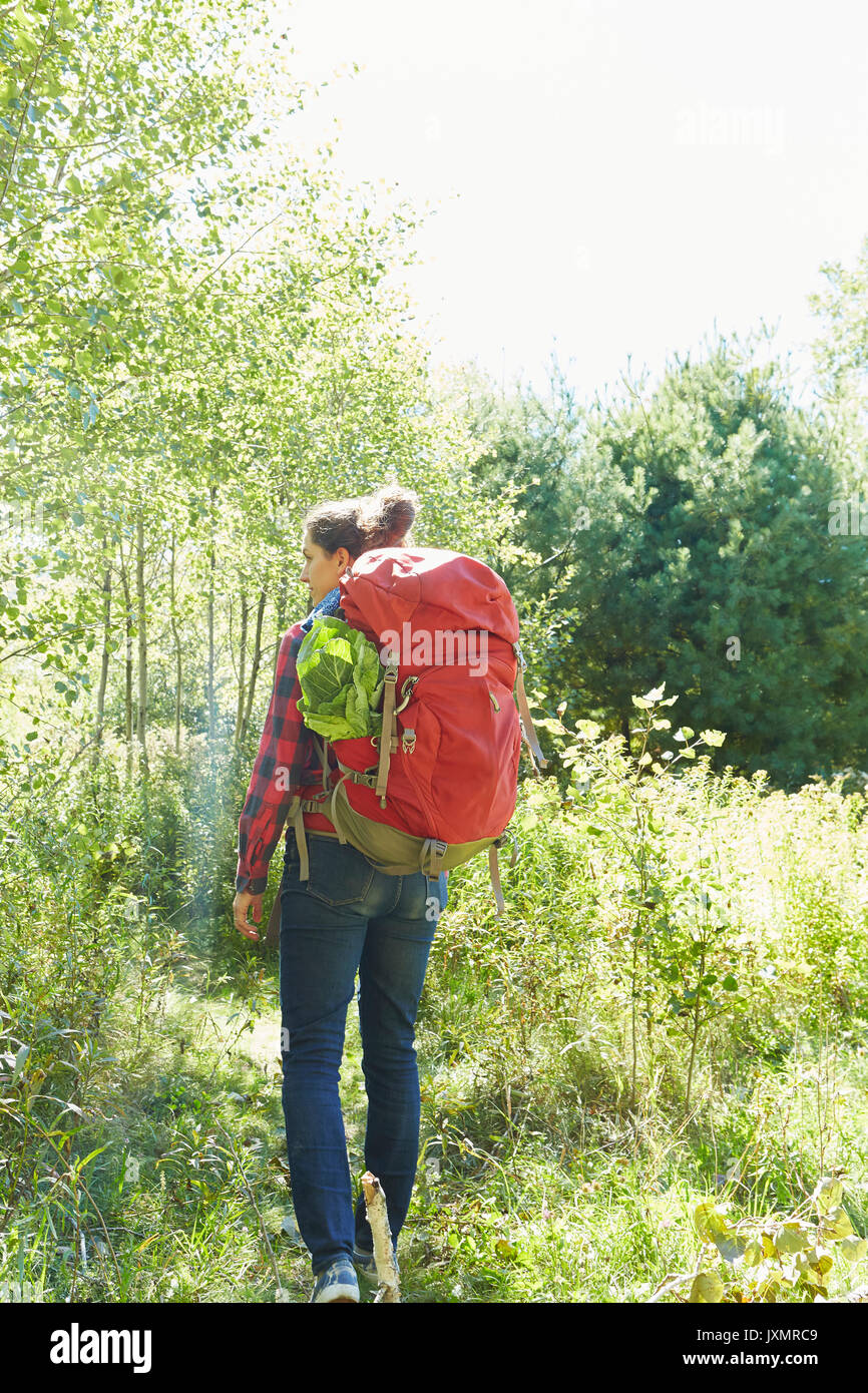 Woman hiking, rear view, Colgate Lake Wild Forest, Catskill Park, New ...