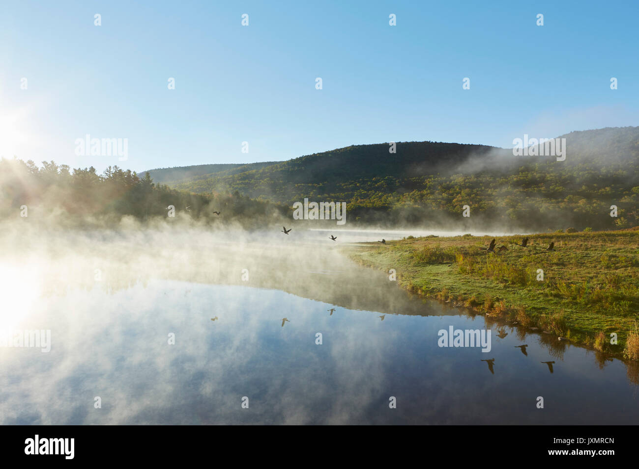 Scenic view, Colgate Lake Wild Forest, Catskill Park, New York State ...
