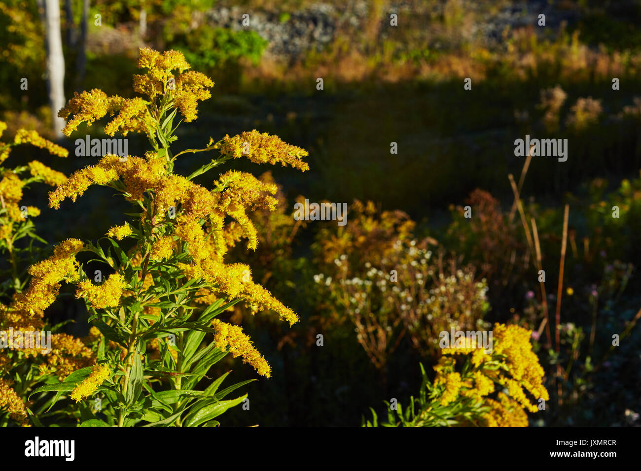 Colgate lake hi-res stock photography and images - Alamy