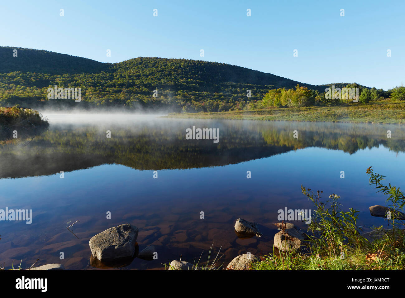 Scenic view, Colgate Lake Wild Forest, Catskill Park, New York State ...