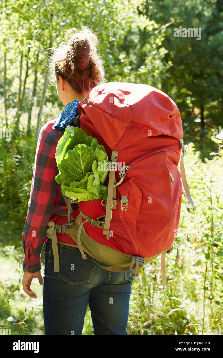 Woman hiking through forest, rear view, Colgate Lake Wild Forest ...