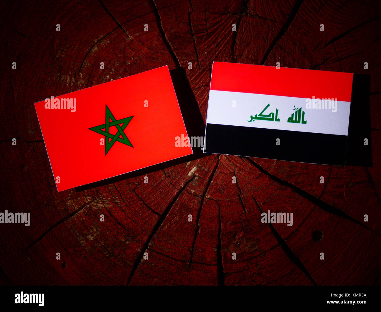 Moroccan flag with Iraqi flag on a tree stump isolated Stock Photo - Alamy