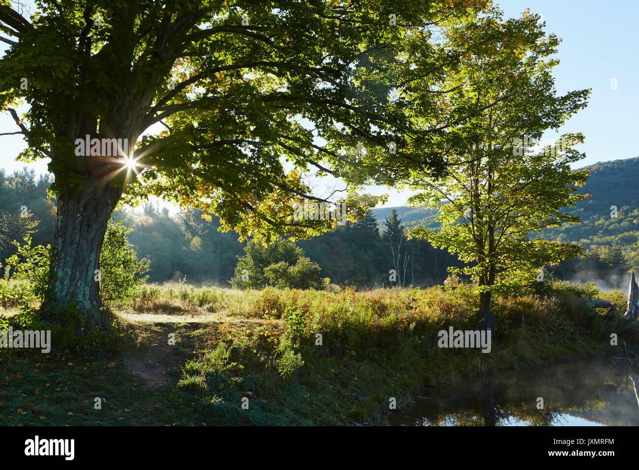 Colgate lake wild forest hi-res stock photography and images - Alamy
