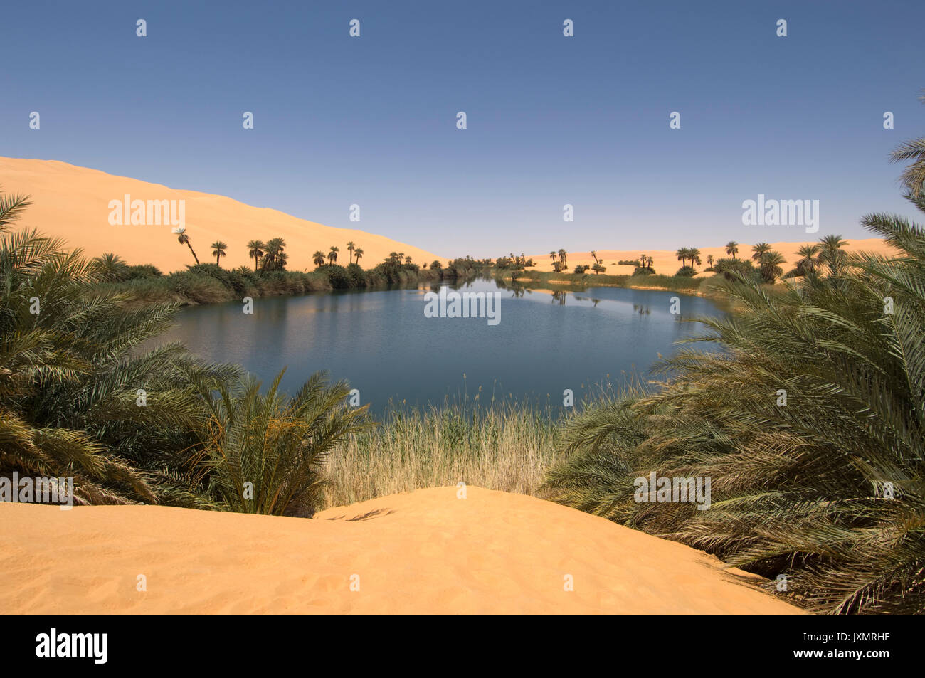 Umm El Ma lake, Erg Awbari, Sahara desert, Fezzan, Libya Stock Photo ...
