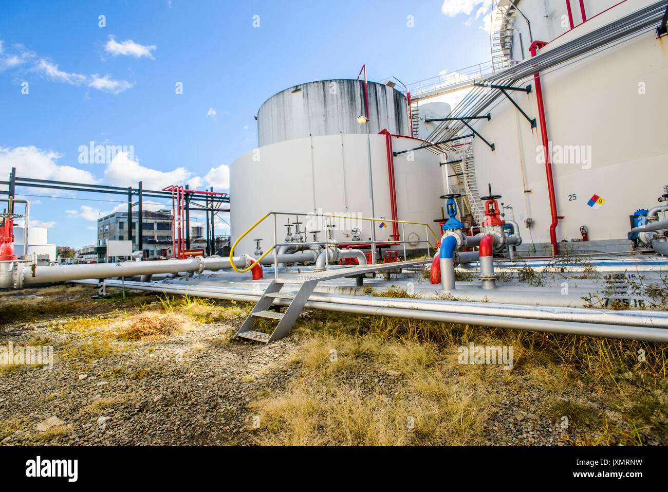 Biofuel plant hi-res stock photography and images - Alamy