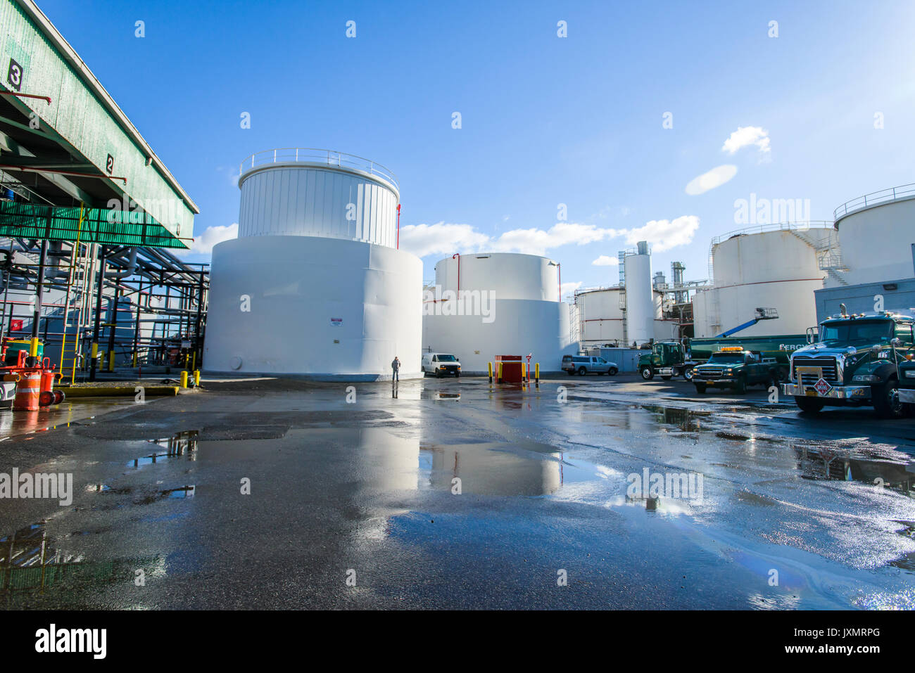 Biofuel plant hi-res stock photography and images - Alamy
