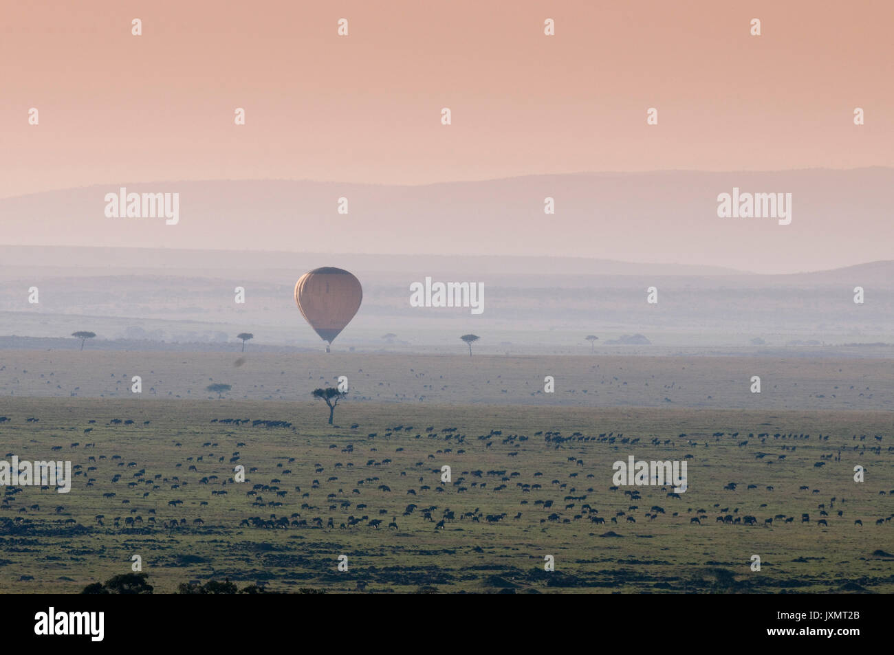 Safari balloon animal migration hi-res stock photography and images - Alamy