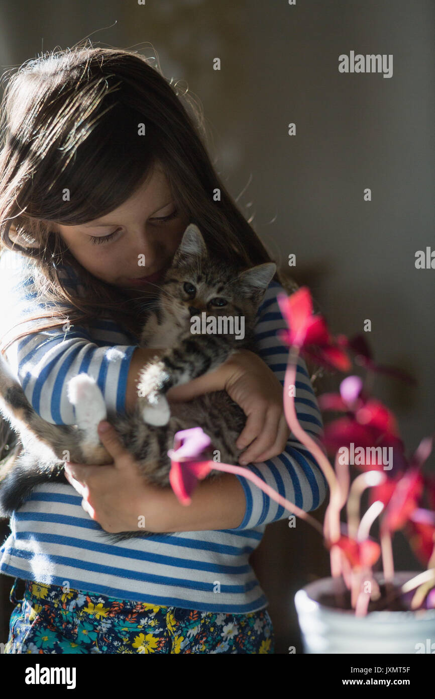 Girl holding kitten hi-res stock photography and images - Alamy