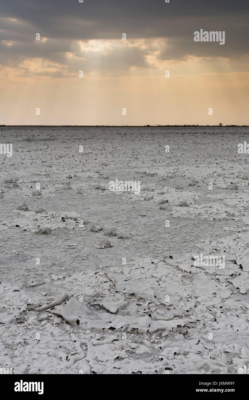 Salt pan texture hi-res stock photography and images - Alamy