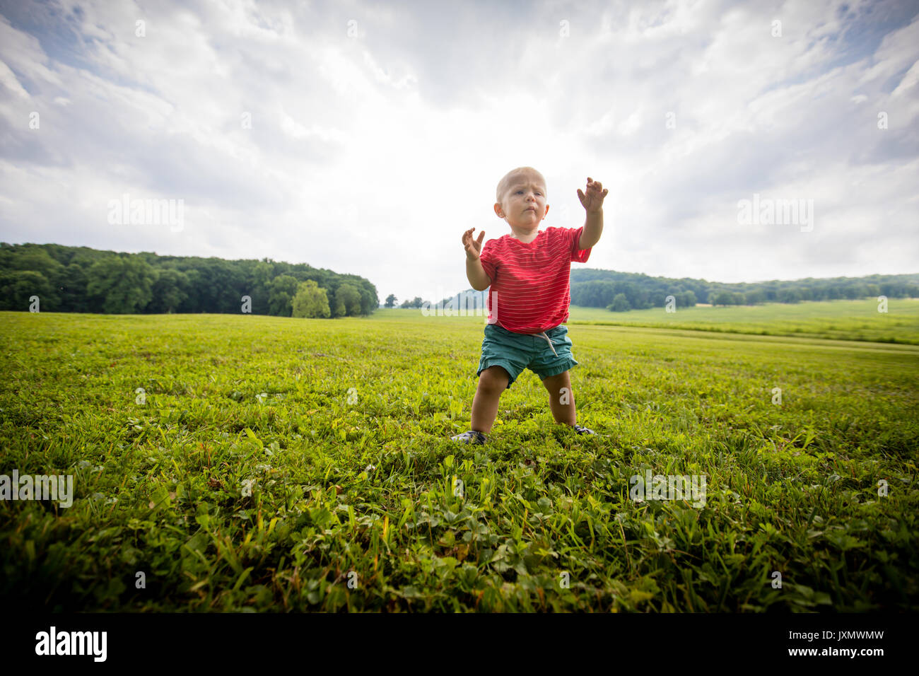 Baby boy toddling in grassy rural field Stock Photo - Alamy