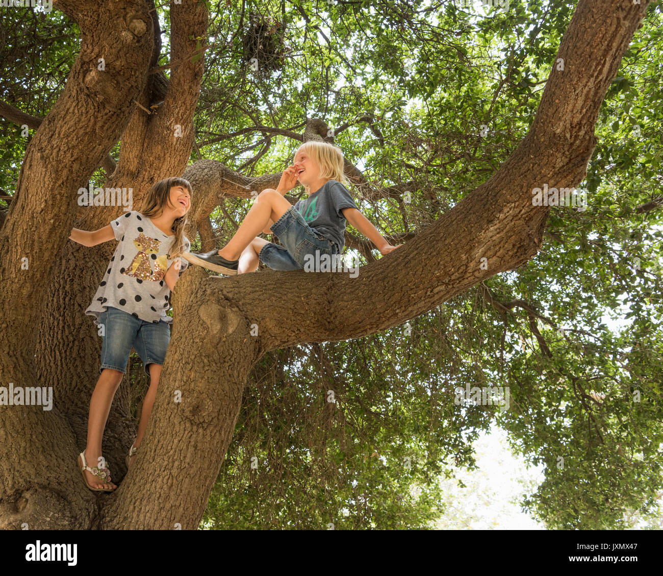 Children sitting boy girl angle hi-res stock photography and images - Alamy