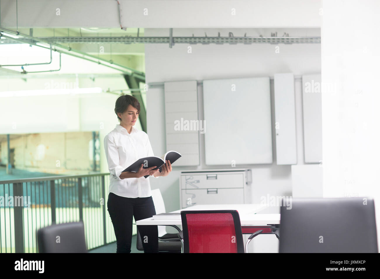 Young female sales manager looking at sales brochure in office ...