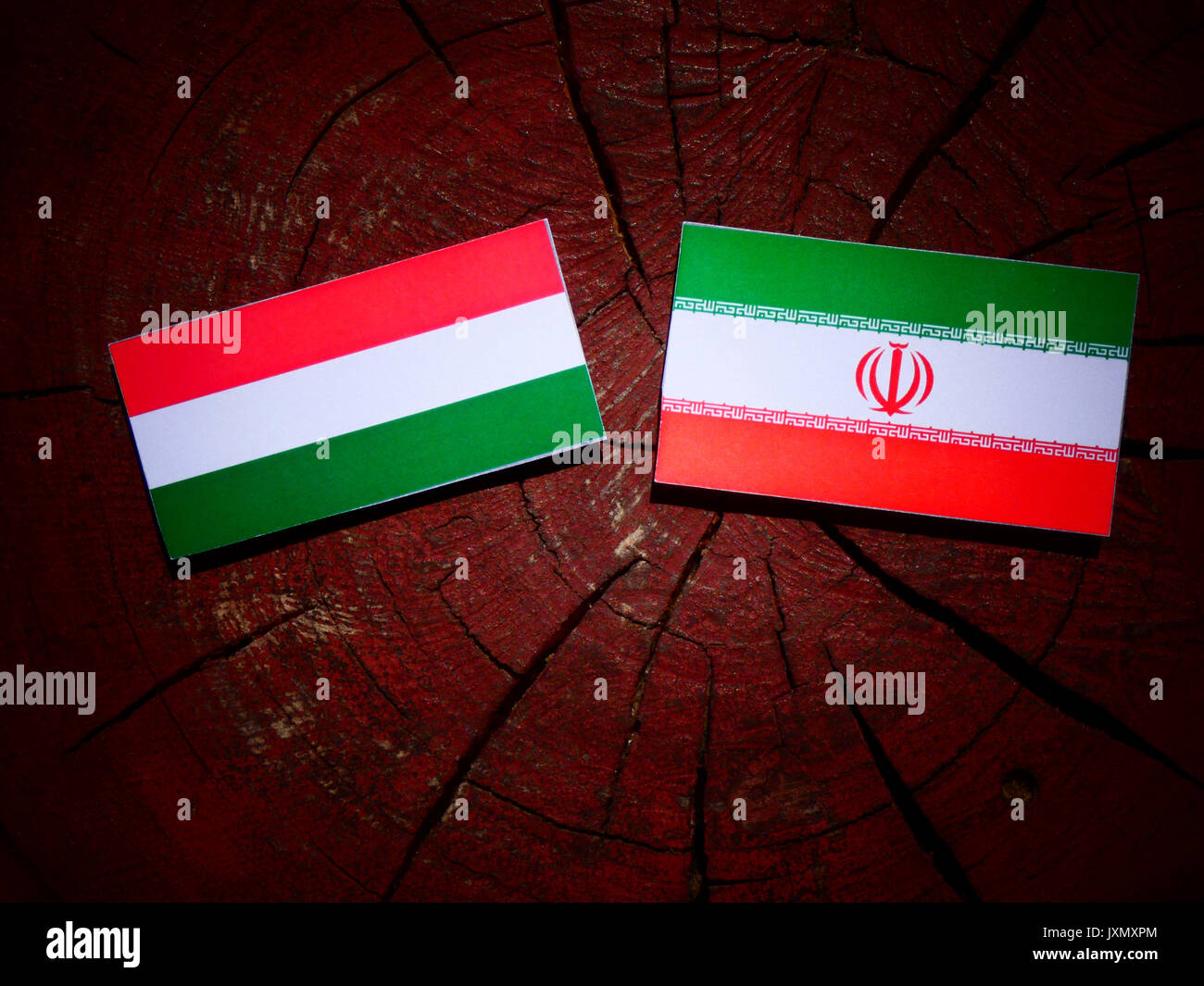 Hungarian flag with Iranian flag on a tree stump isolated Stock Photo ...