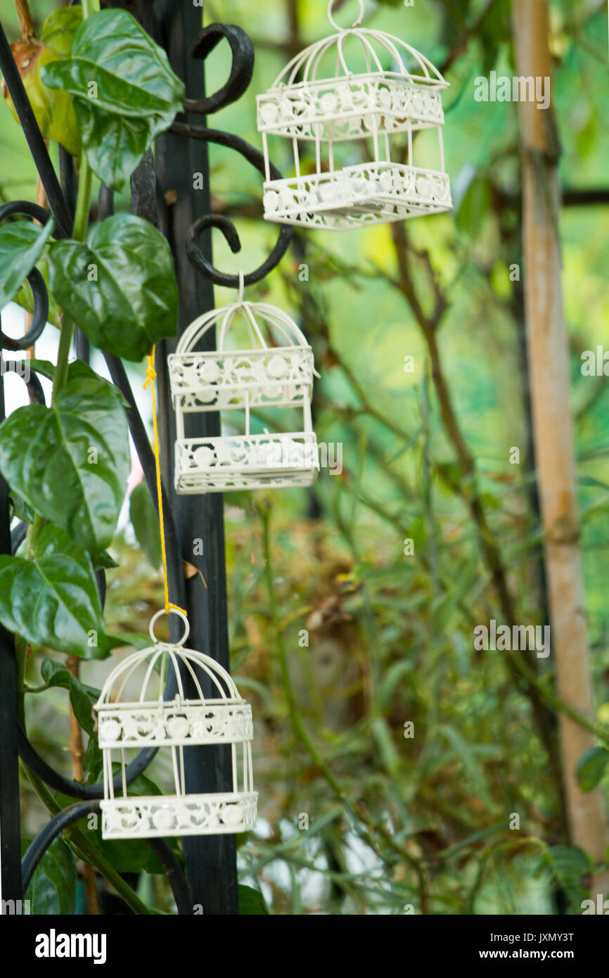Open cages hi-res stock photography and images - Alamy