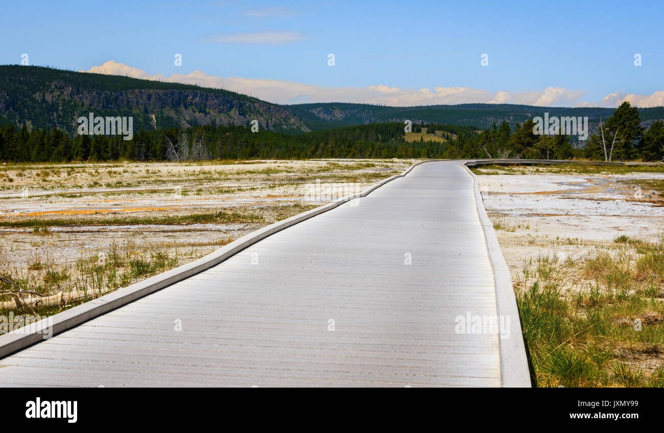Wooden boardwalk, walkway in geyser, hot springs area in Yellowstone ...