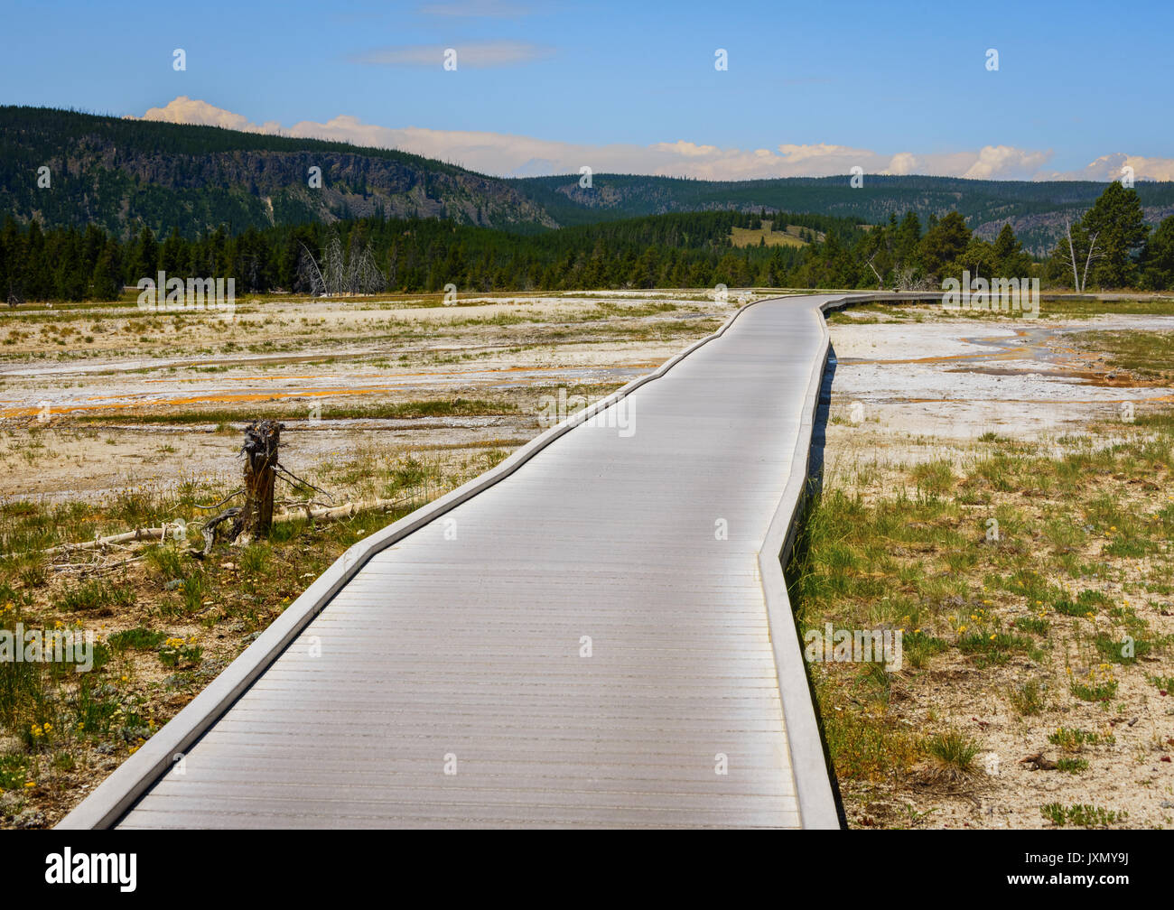 Tourists in the wooden pathway hi-res stock photography and images - Alamy