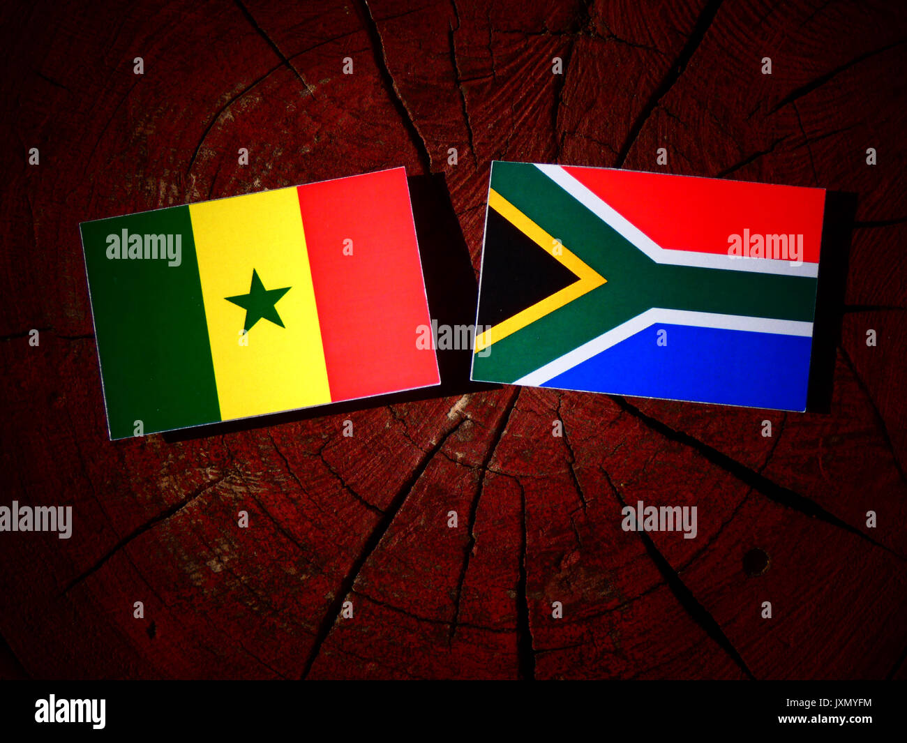 Senegal flag with South African flag on a tree stump isolated Stock ...