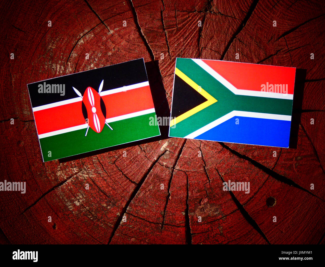 Kenyan flag with South African flag on a tree stump isolated Stock ...