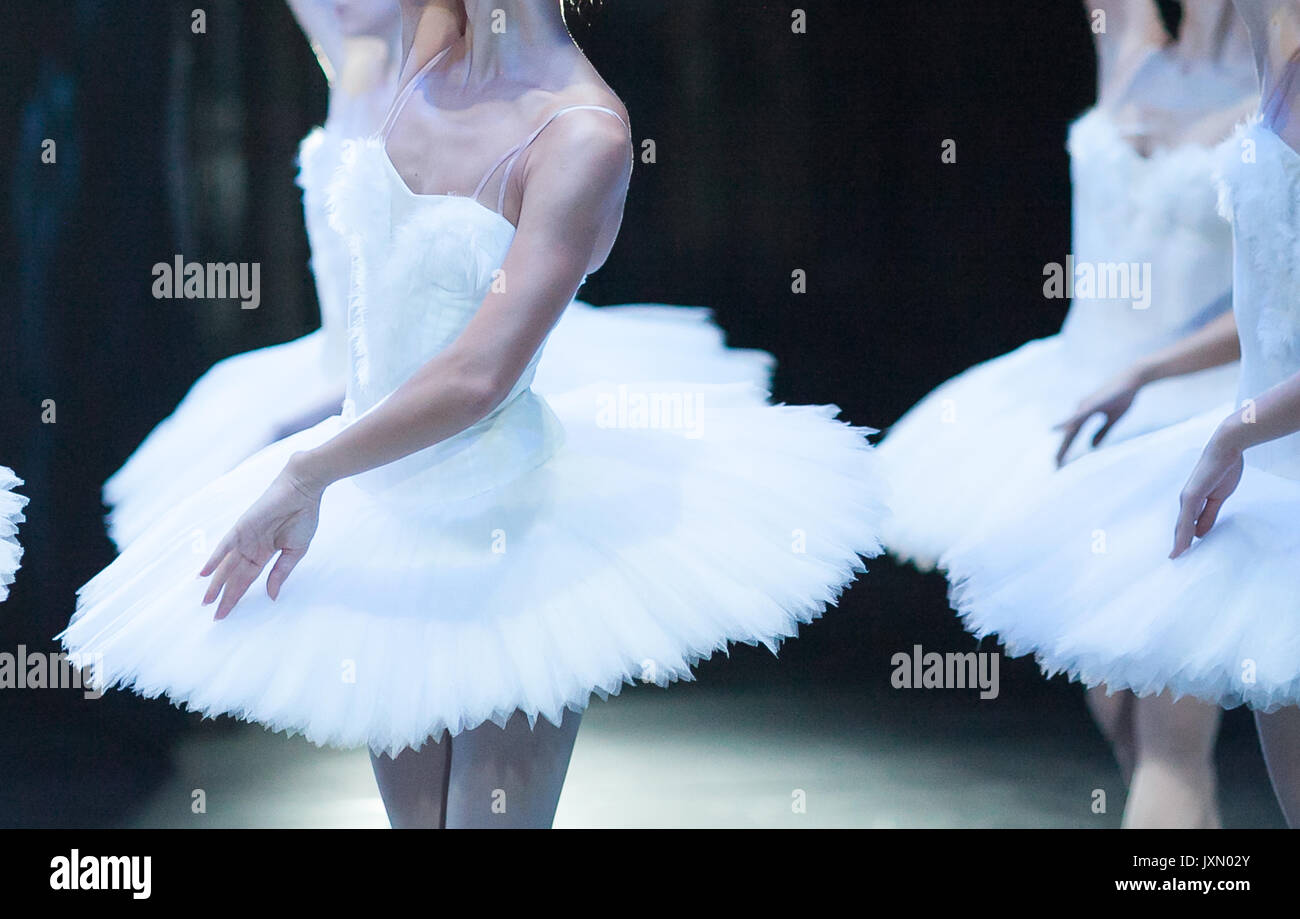 beauty, ballet, anatomy concept. delicate lines of sillouette of ...