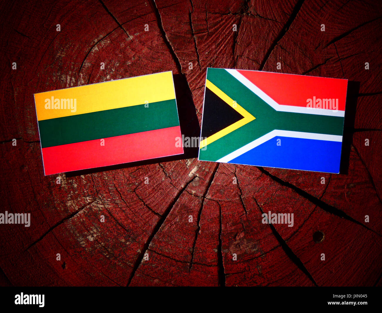 Lithuanian flag with South African flag on a tree stump isolated Stock ...