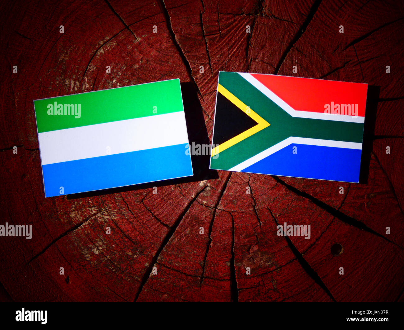 Sierra Leone flag with South African flag on a tree stump isolated ...