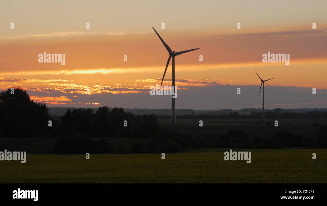 Wind turbines farms with rays of light at sunset Stock Photo - Alamy