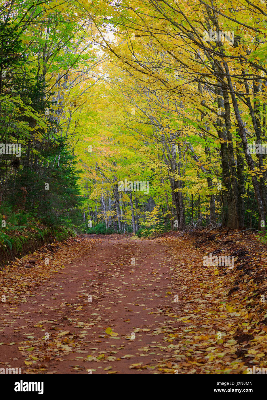 Clay dirt road in the fall in rural Prince Edward Island, Canada Stock ...
