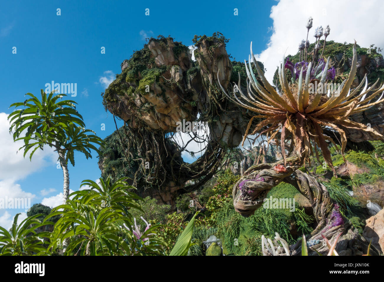 Floating Mountains in Pandora, Avatar Land, Animal Kingdom, Walt Disney ...