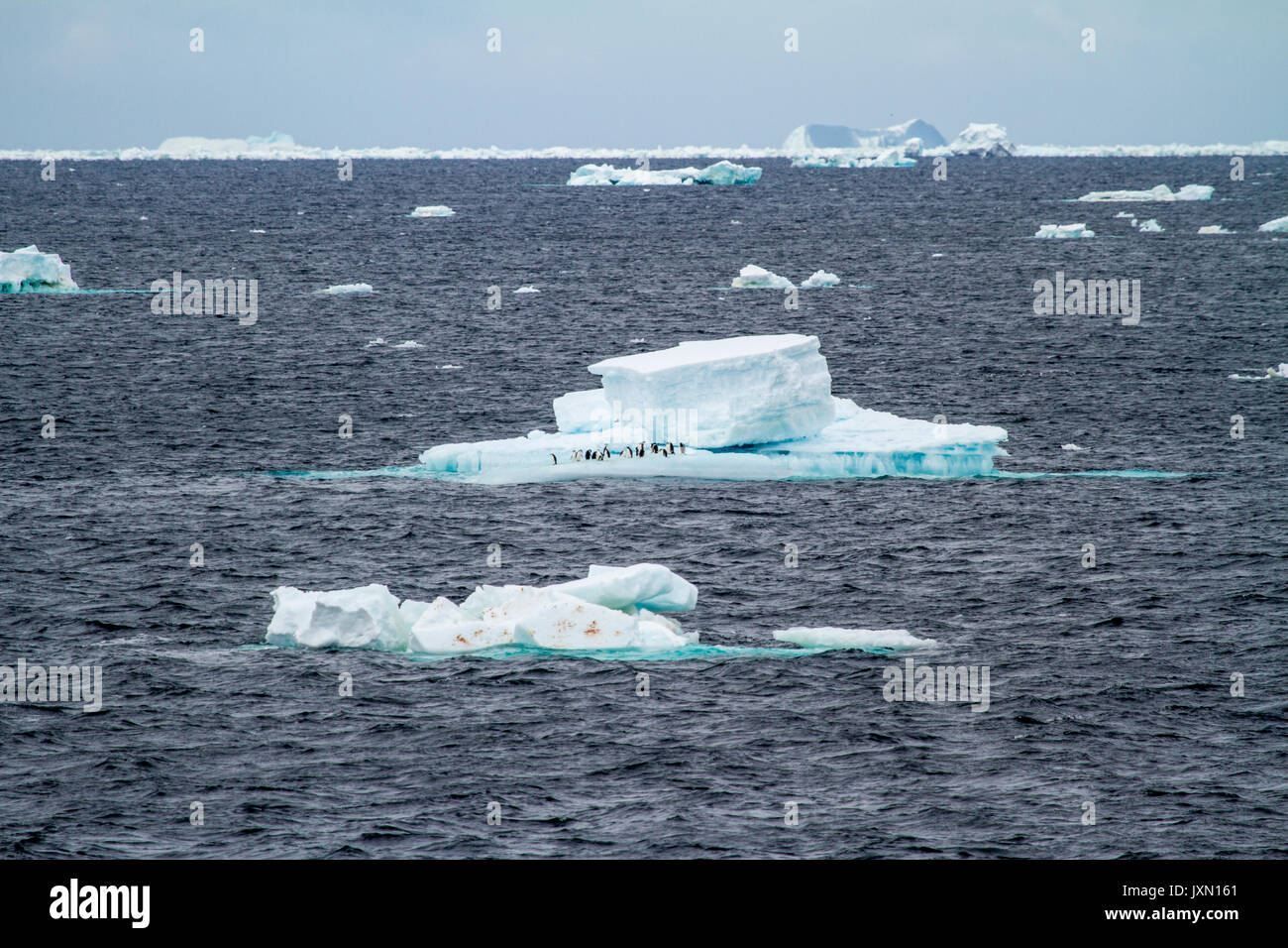 Antarctica - Floating Ice - Global Warming Stock Photo - Alamy