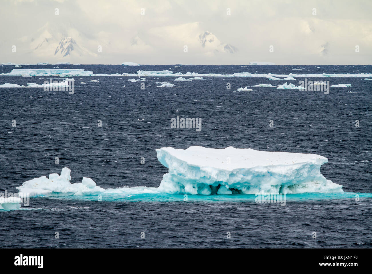 Antarctica - Non-Tabular Iceberg - Pinnacle Shaped Iceberg Drifting In ...