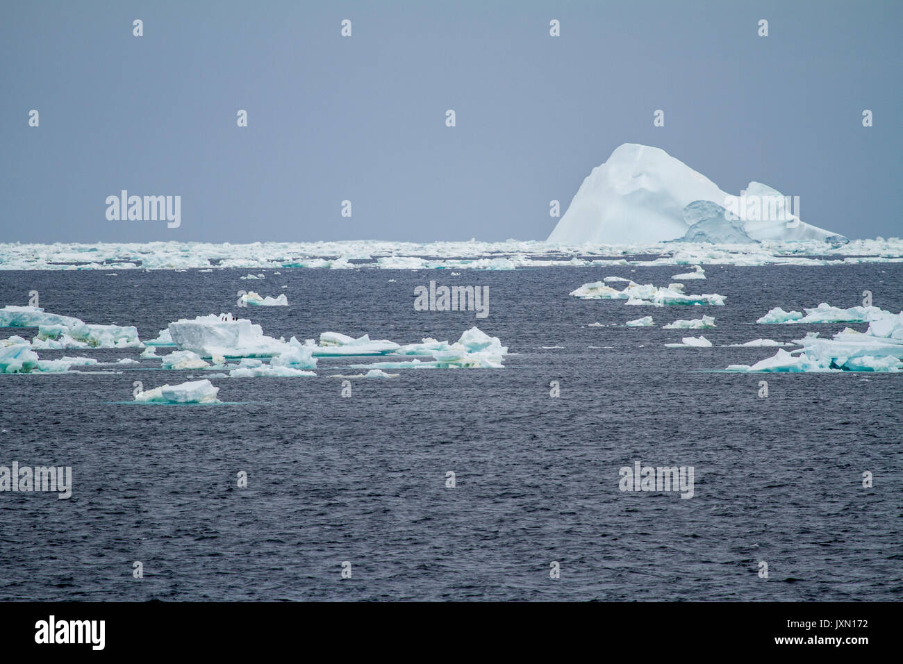 Antarctica - Non-Tabular Iceberg - Pinnacle Shaped Iceberg Drifting In ...