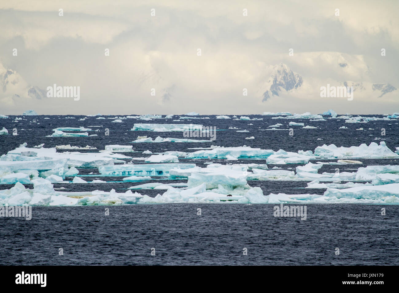 Antarctica - Non-Tabular Iceberg - Pinnacle Shaped Iceberg Drifting In ...
