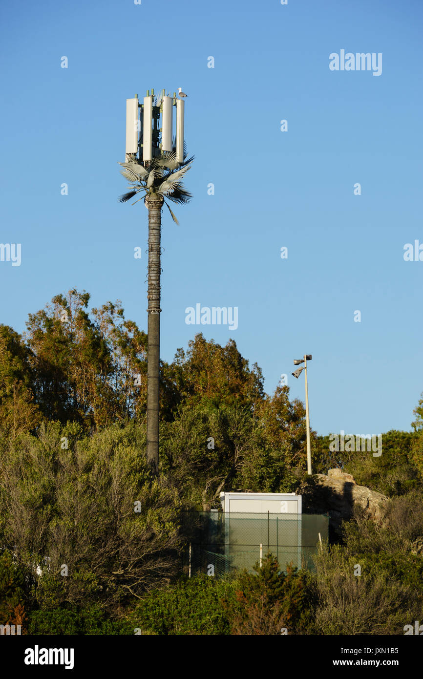 Mobile phone mast disguised tree hi-res stock photography and images ...