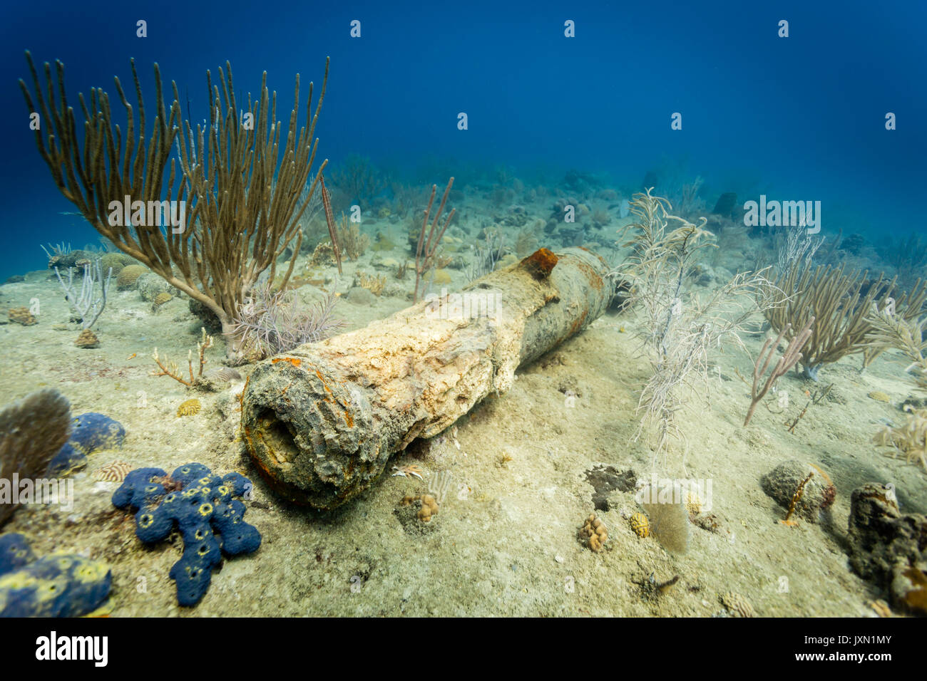 Shipwreck on coral hi-res stock photography and images - Alamy