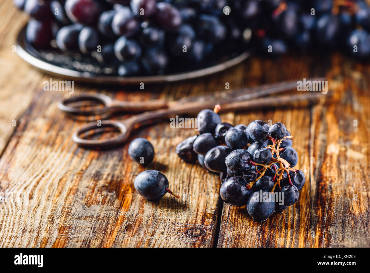 Grape vintage scissors grapes hi-res stock photography and images - Alamy